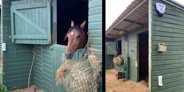 Harper Security selects Optex sensors for rural protection - Security ...