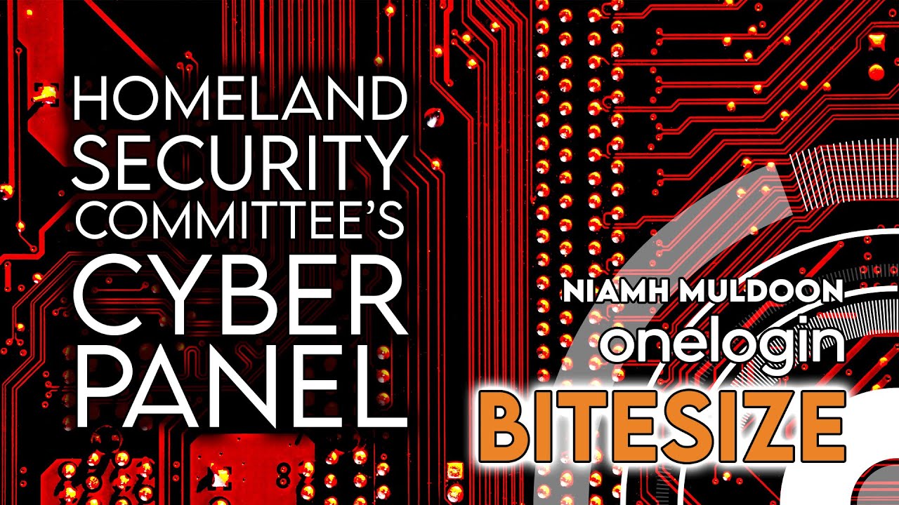 Bitesize | Homeland Security Committee's new Cyber Panel - Security On ...